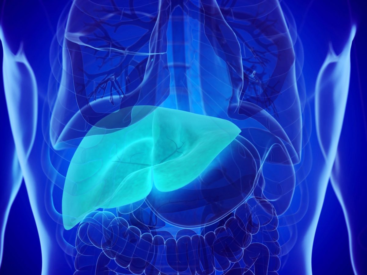 Hydrogel breakthrough could boost liver cell therapy durability ...