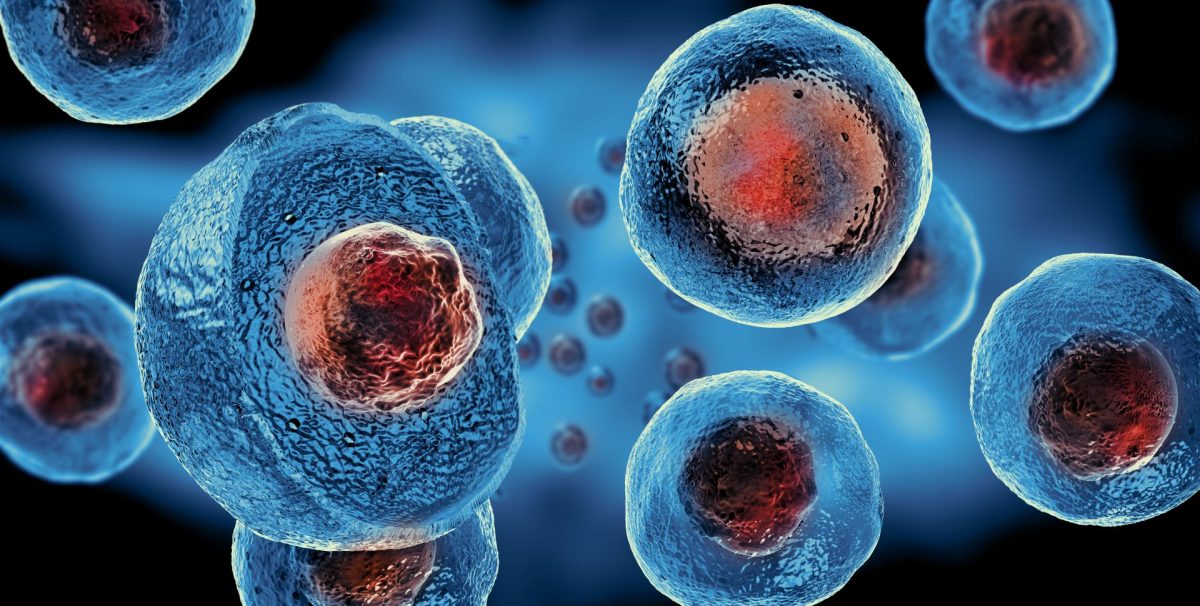 Cartesian licenses WestGene platform to advance in vivo CAR-T for ...